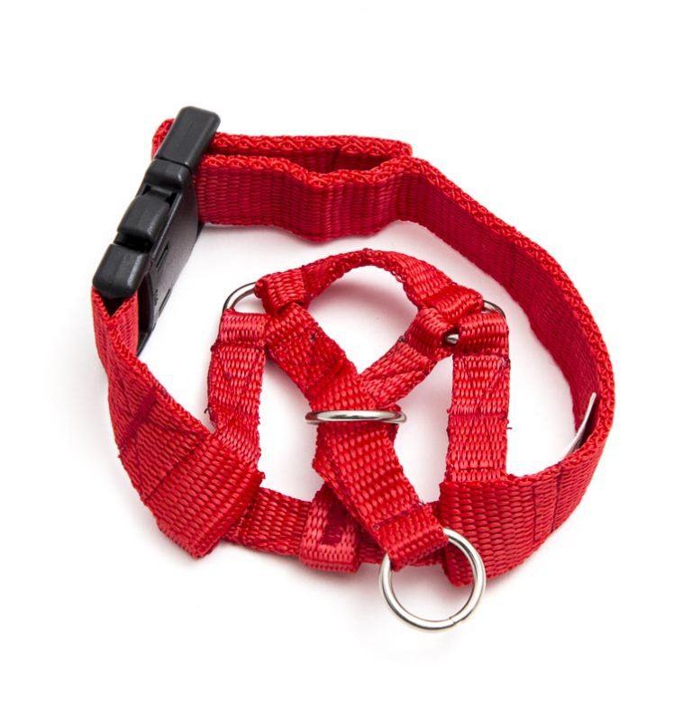 Head Halter Size 2 | Kumalong